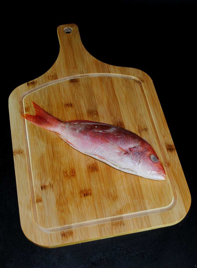 Frozen Caribbean Red Snapper (Atlantic) - Yokota USA - Atlantic Seafoods