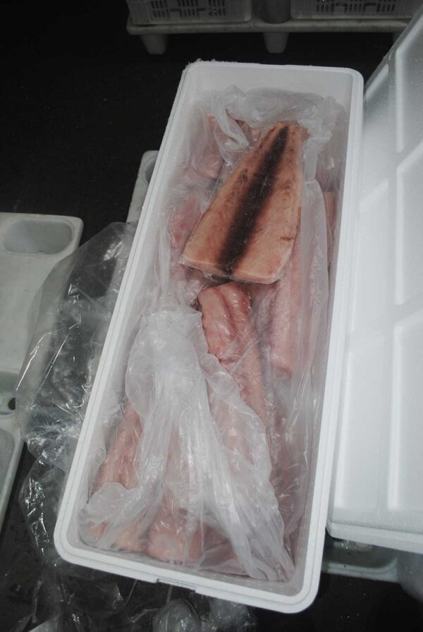 Frozen Swordfish Fillet (Atlantic) - Yokota USA - Atlantic Seafoods